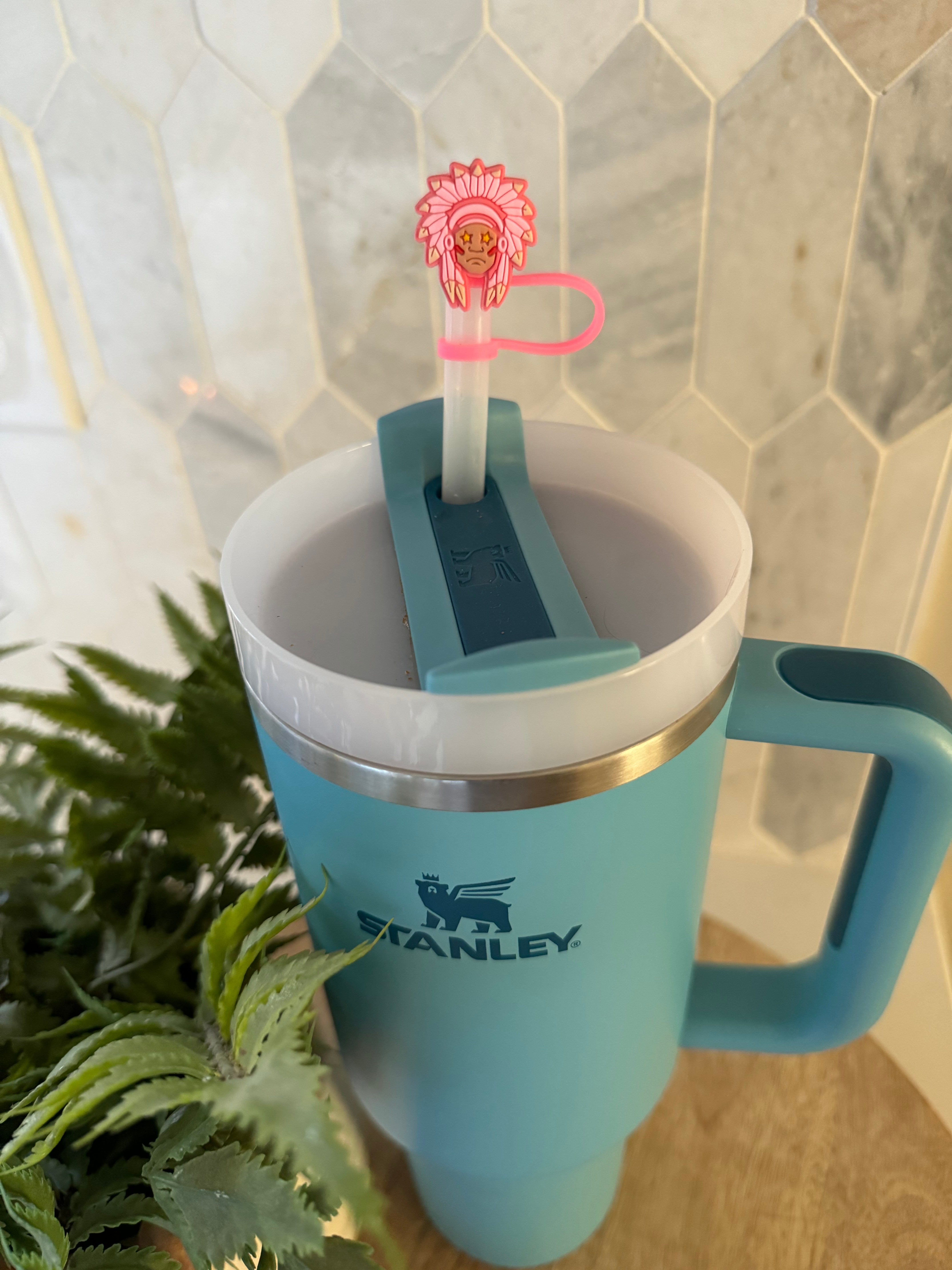 ABLN Boutique - Preppy Pink Mascot™ Indian Tumbler Straw Topper – Small ...